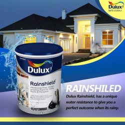 DULUX RAINSHIELD Blanc - Prisma Industries